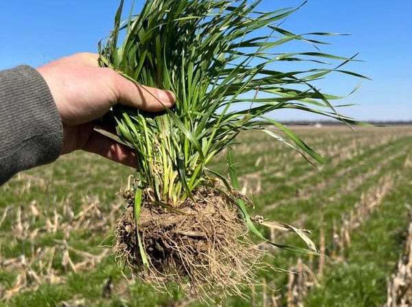 Our S2S System: The Row Unit that Seeds Cover Crops at Side Dress ...